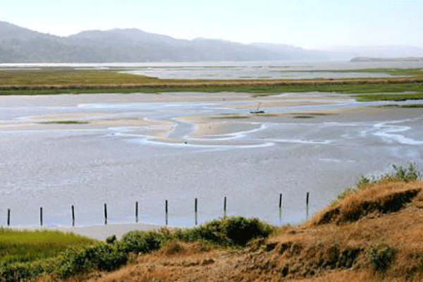 Hike the Tomales Bay Trail for Open Vistas and Stunning Views - 7x7 Bay ...