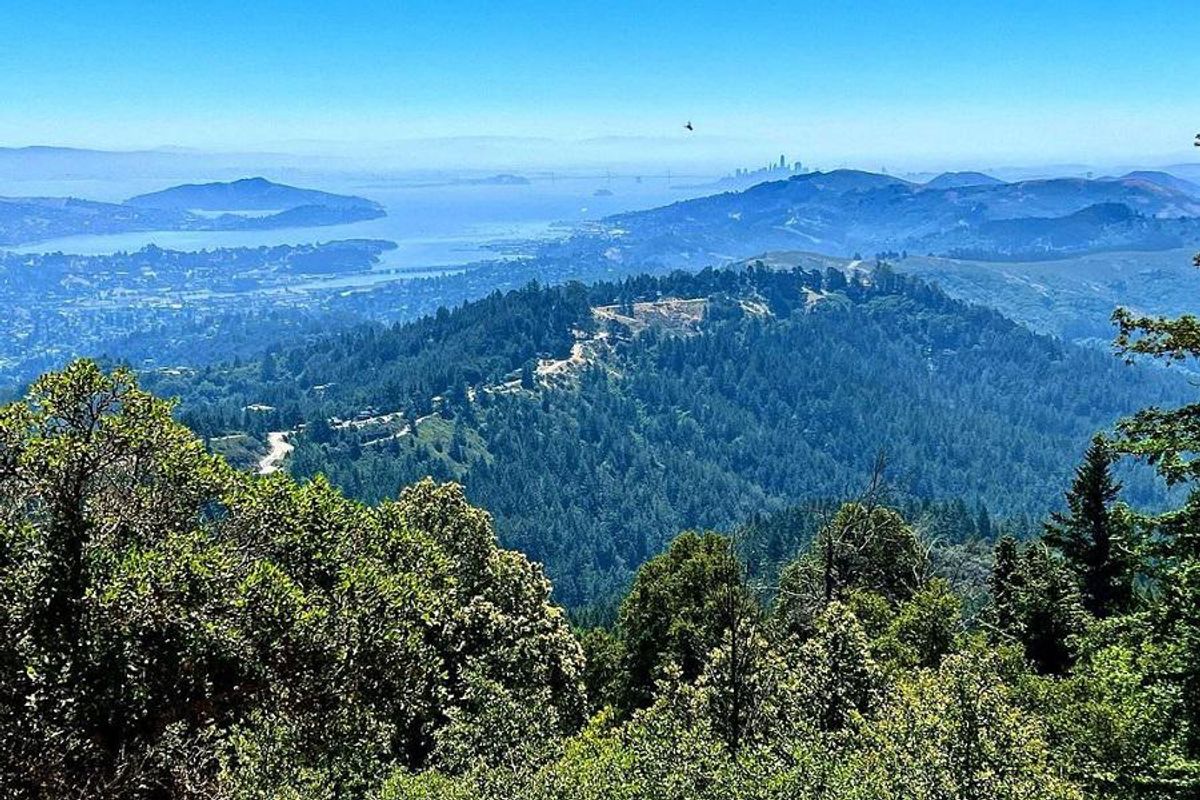 Mount Tamalpais State Park - 7x7 Bay Area