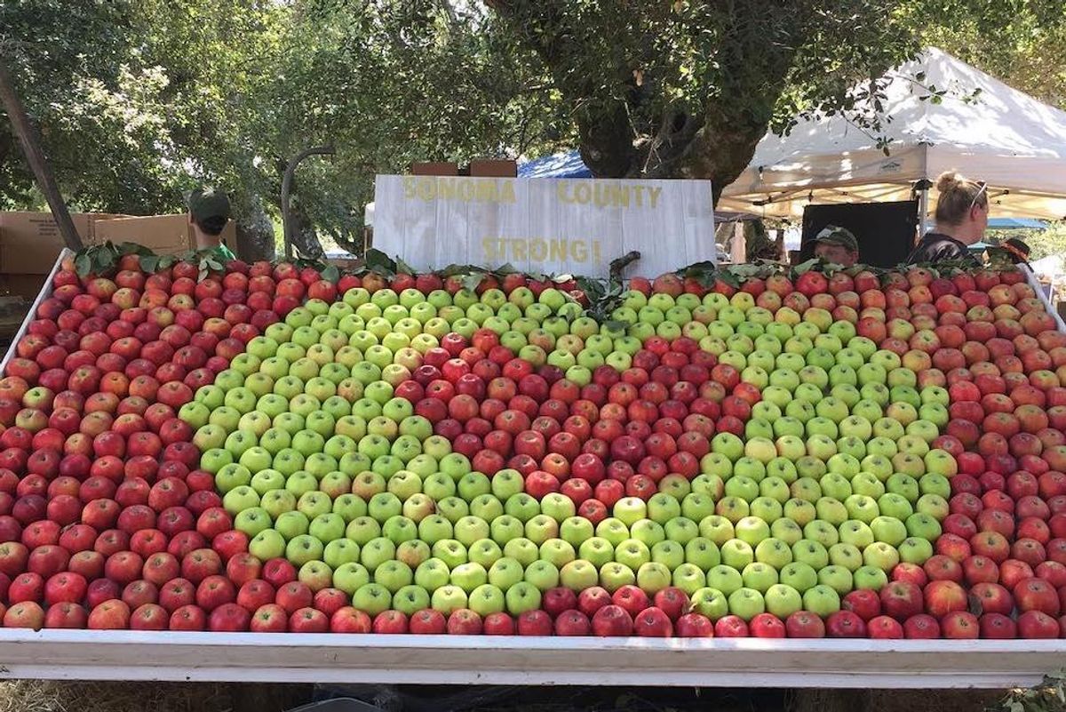 Celebrate Apple Season at Gravenstein Apple Fair - 7x7 Bay Area