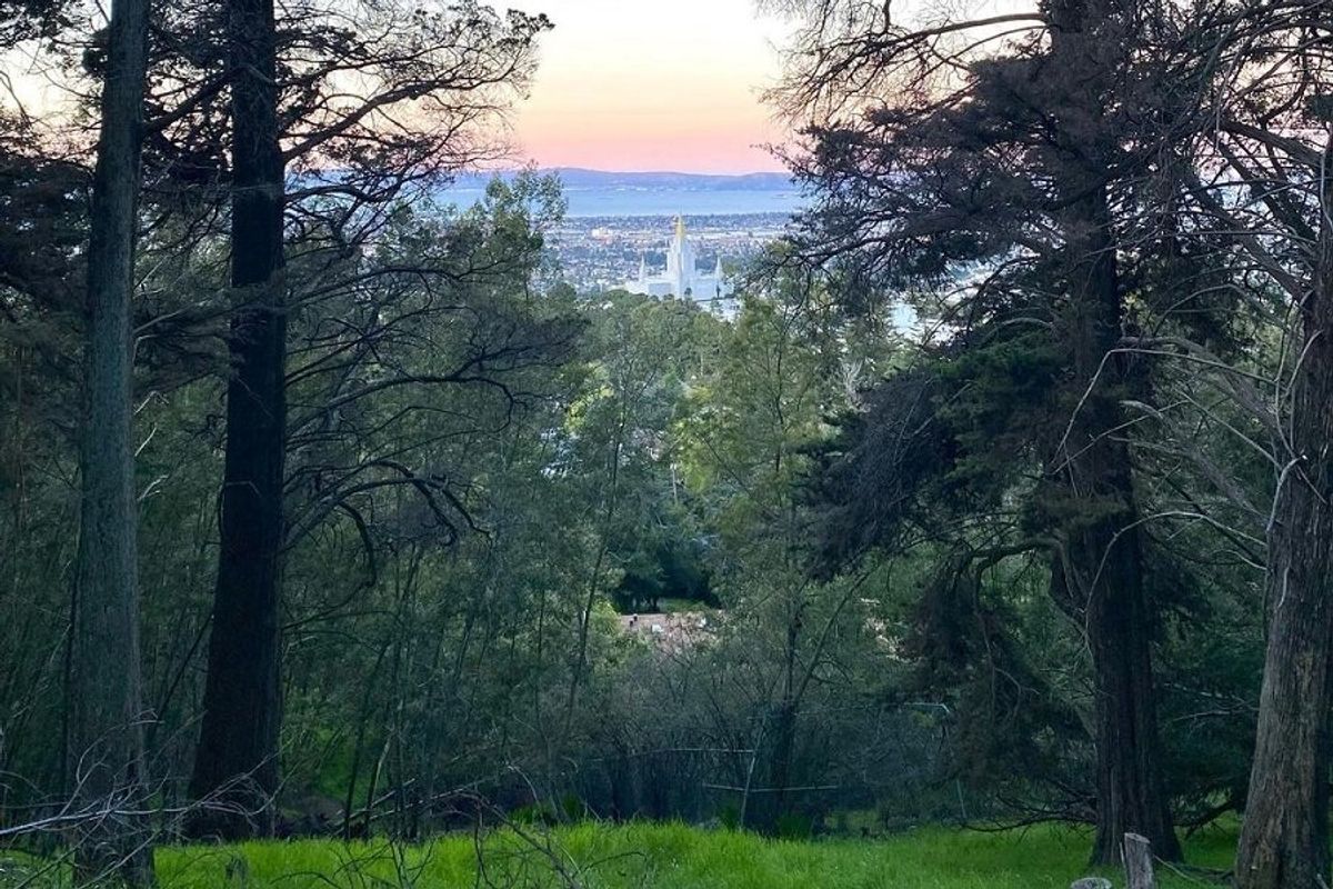 Sunset, Sequoia Bay View, and Chaparral Trail (3-mile loop) - 7x7 Bay Area