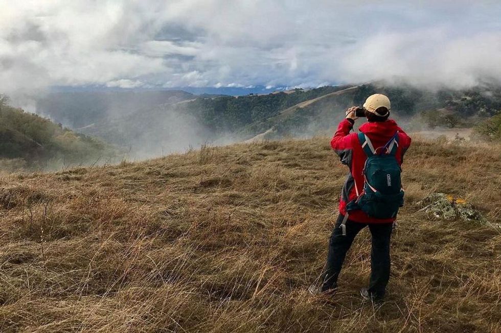 The Last-Minute Guide to Bay Area Camping - 7x7 Bay Area