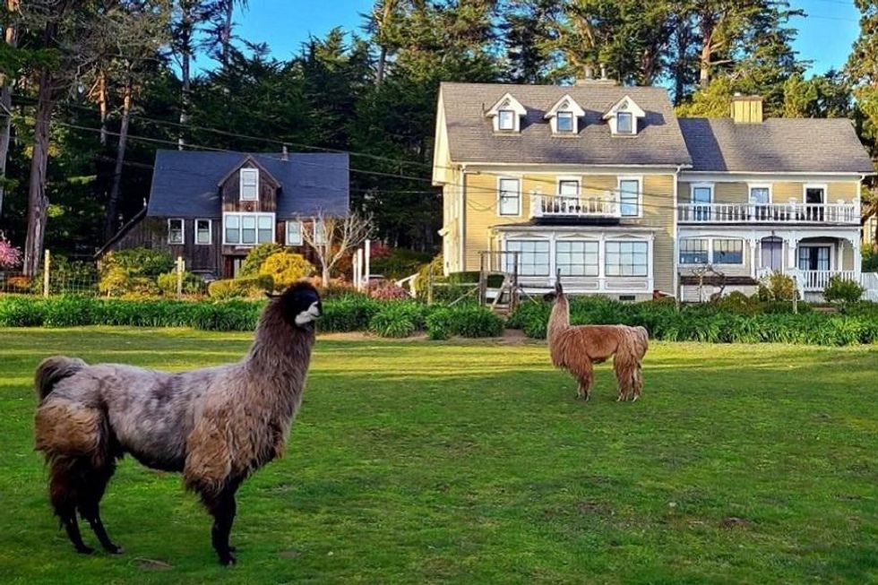Modern Guide to Mendocino: Farm-Fresh Eats, Quirky B&Bs + Breathtaking ...