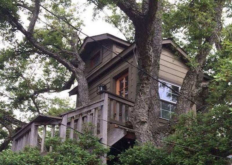 Small Simple Tree House The Tree House On The Hill – Squirrel Design