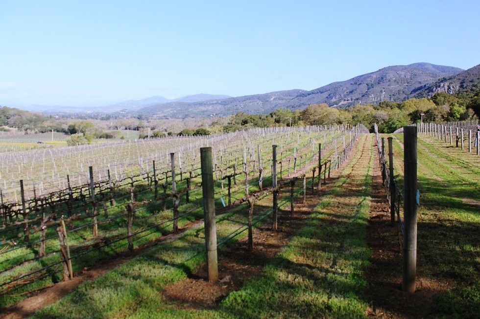 Coombsville Finally Gets Its AVA Status - 7x7 Bay Area