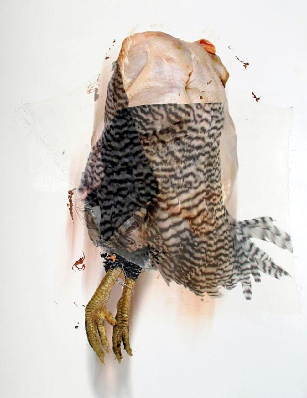 Bay Area Artist Deborah Oropallo Channels the Circle of Life - 7x7 Bay Area