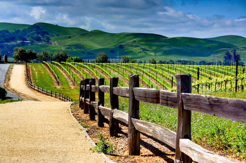 How to Spend 50 Perfect Hours in the Tri-Valley - 7x7 Bay Area