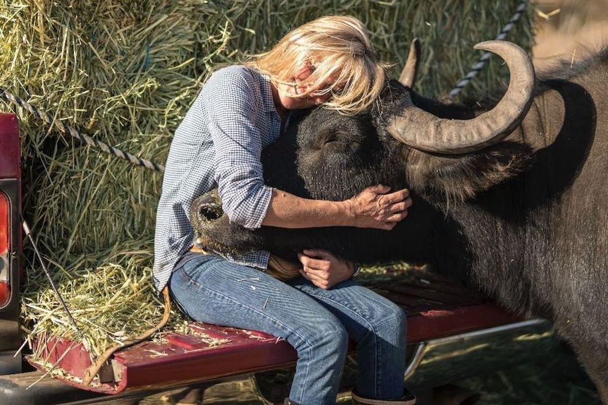 Ramini Mozzarella - 7x7 Bay Area