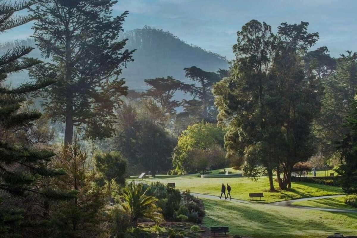 Things to Do in the Inner Sunset - 7x7 Bay Area